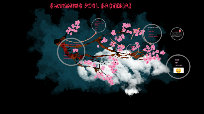 WHAT TYPES OF BACTERIA ARE IN SWIMMING POOLS by Sara Kamel Hassan on Prezi