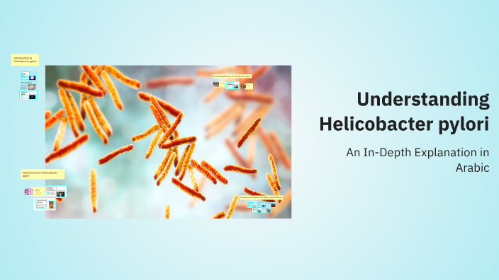 Understanding Helicobacter pylori by mostafa alhashlmon on Prezi