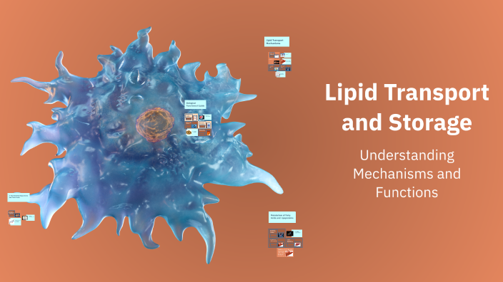 Lipid Transport and Storage by Assist.Prof.Dr.Qutaiba Alhajjaj on Prezi