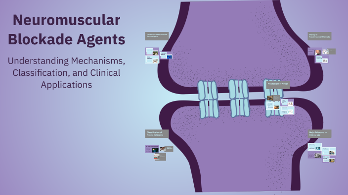 Neuromuscular Blockade Agents by H Yusuf Güneş on Prezi