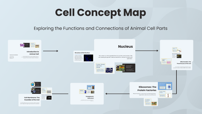 Cell Concept Map by Avia Coffmon on Prezi