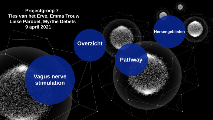 Anatomie nervus vagus stimulatie by Myrthe Deb on Prezi Anatomie nervus vagus stimulatie by Myrthe Deb on Prezi