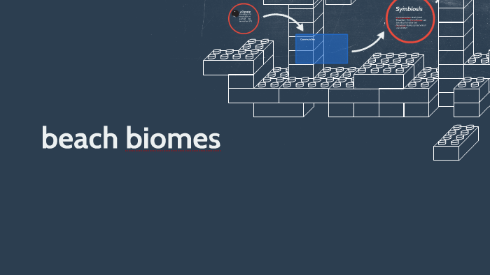 beach biomes by jennifer smith on Prezi