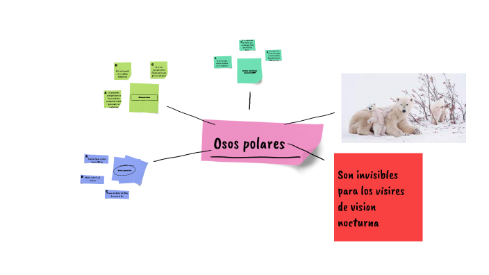 Osos polares by Omar Villamil on Prezi