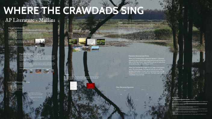 Where the Crawdads Sing by Kaitlyn Mullins on Prezi