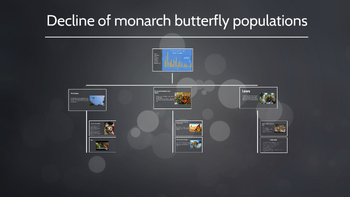 Decline of monarch butterfly populations by Hannah Lysitza on Prezi