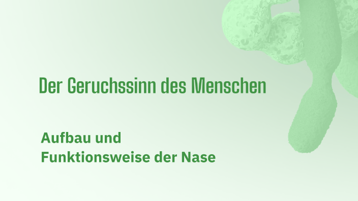 Der Geruchssinn des Menschen by Louan Kalabis on Prezi