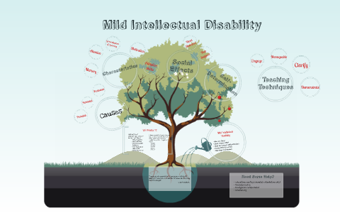 Mild Intellectual Disability by Allison Preg on Prezi