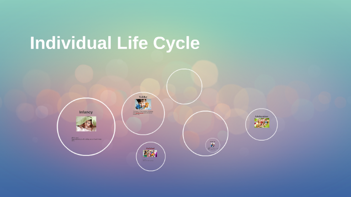 Individual Life Cycle by Hana Coco on Prezi
