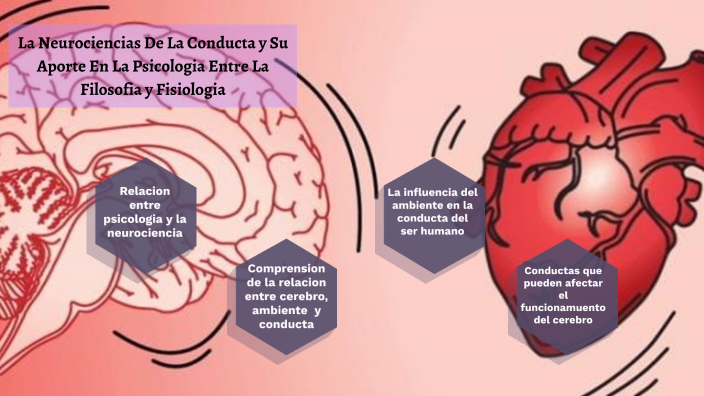 neuroeje 2 by Yasmin Forero on Prezi