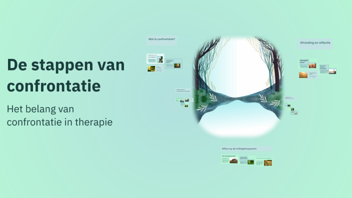 De stappen van confrontatie by on Prezi