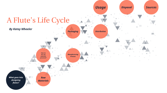 Flute Life Cycle by Katey Wheeler on Prezi