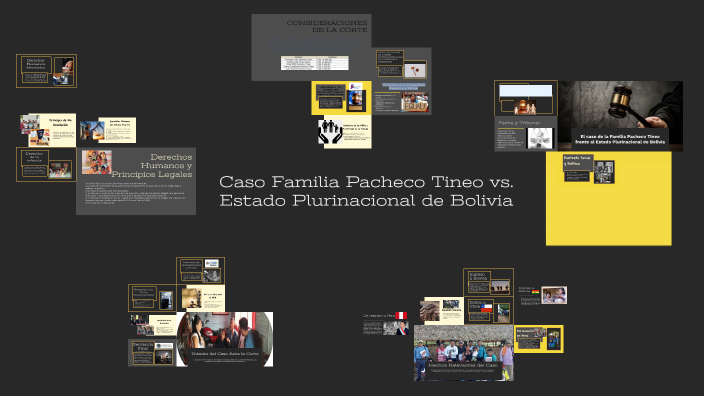 Caso Familia Pacheco Tineo vs. Estado Plurinacional de Bolivia by ...