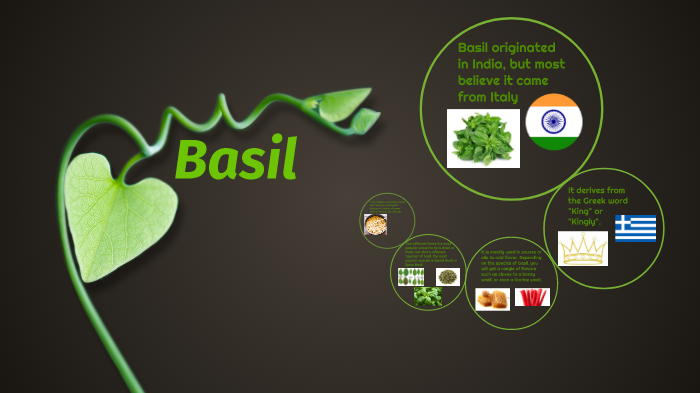 Basil; HS Food by Yvette Hammer on Prezi