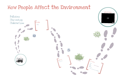 How People Affect the Environment. by Brenda Power on Prezi