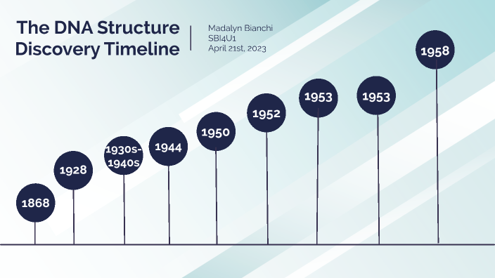 DNA Structure Timeline by Madalyn Bianchi on Prezi