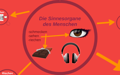 Die Sinnesorgane des Menschen by Jana Hansen-Carstensen on Prezi