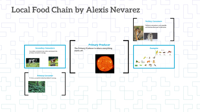 Local Food Chain by Choche Nevarez on Prezi