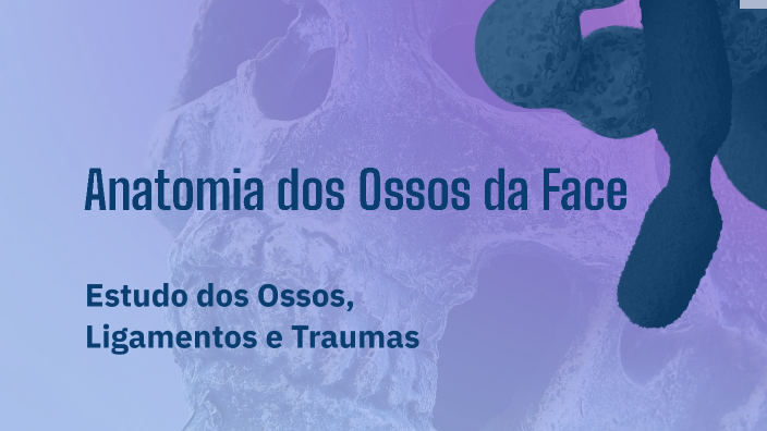 Anatomia dos Ossos da Face by marcos paulo on Prezi