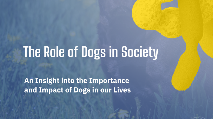 The Role of Dogs in Society by Samuel Willing on Prezi