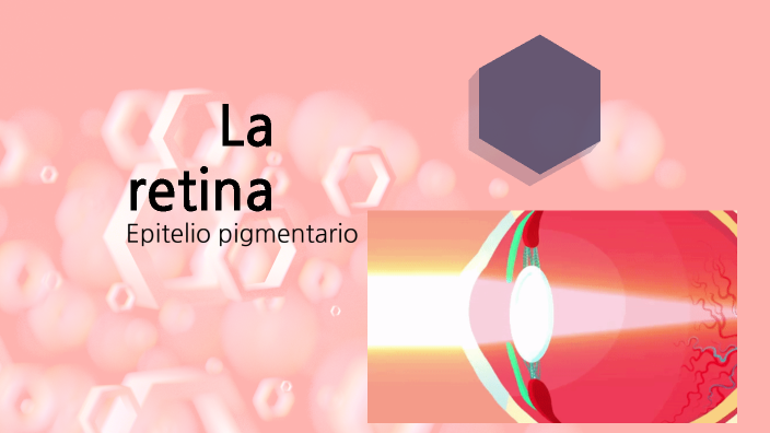 la retina by daniela chi on Prezi