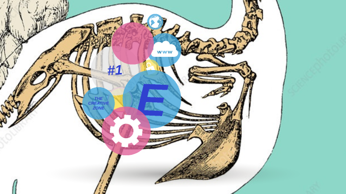 The Dodo by Sam Brenneman on Prezi