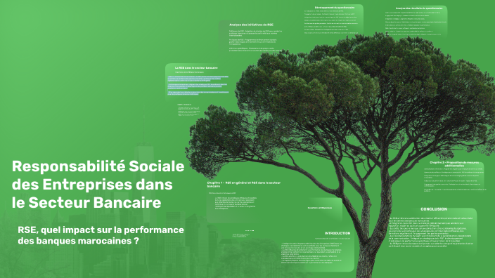 La Responsabilité Sociétale des Entreprises (RSE) dans le Secteur ...