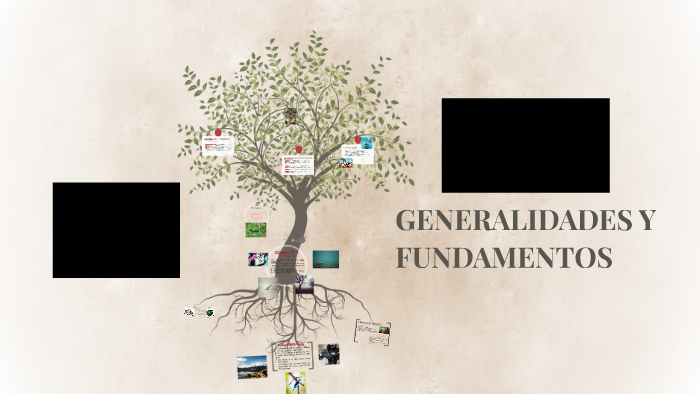 GENERALIDADES Y FUNDAMENTOS by karol macedo on Prezi