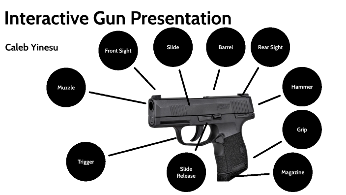 Interactive Gun Presentation by Caleb Yinesu on Prezi