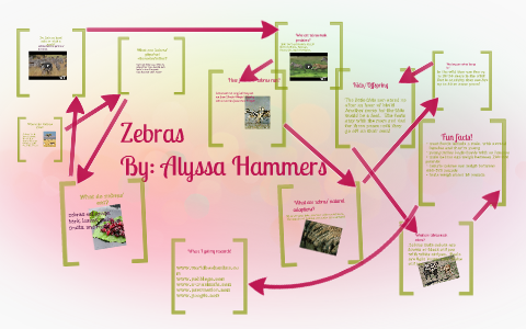 Zebras by Mike Filipowicz on Prezi