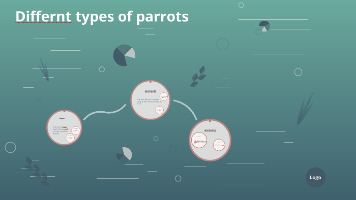 Differnt types of parrots by dylan rigdon on Prezi