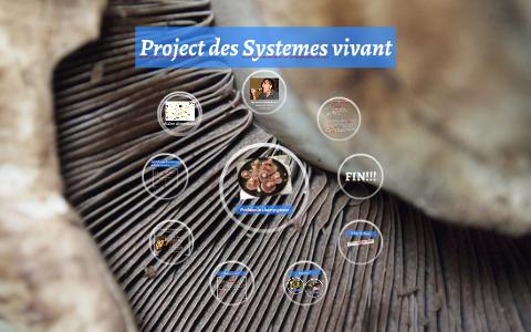 Project des Systemes vivant by Belen Sky Freer on Prezi