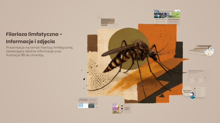 Filarioza limfatyczna - Informacje i zdjęcia by Mateusz Wiśniewski on Prezi