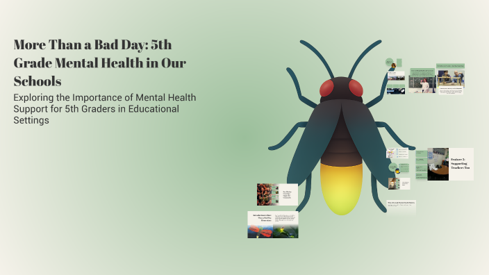 More Than a Bad Day: 5th Grade Mental Health in Our Schools by Lisa ...