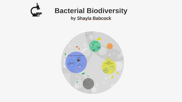 Bacterial Biodiversity by Shayla Babcock on Prezi