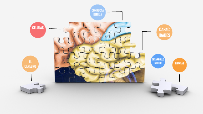 EL CEREBRO Y LA CONDUCTA REFLEJA Y EL DESARROLLO MOTOR by GEOVANNA ...