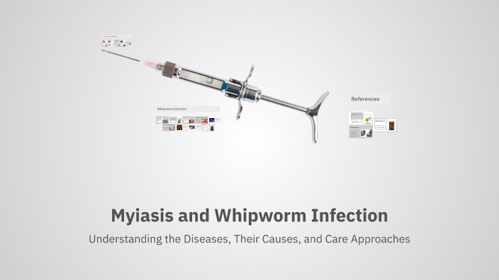 Myiasis and Whipworm Infection by Dustin Washington on Prezi