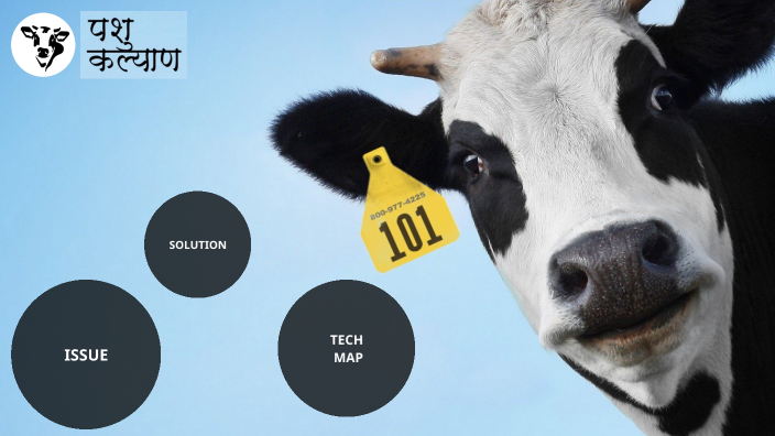 Pashu Kalyan by Divisha Bhardwaj on Prezi