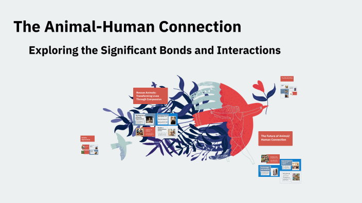 Animal/Human Connection by Heather Ryan on Prezi