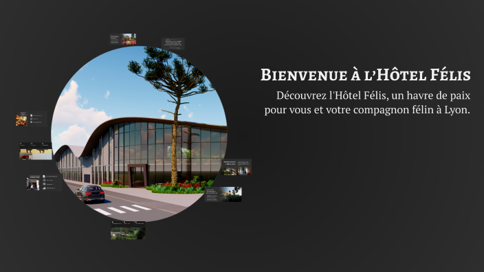 Bienvenue à l’Hôtel Félis by Marwa Labrazi on Prezi