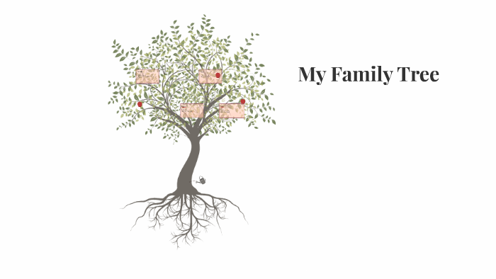 My Family Tree by patricio caceres on Prezi