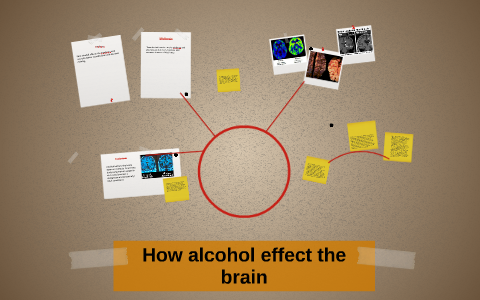 How alcohol effect the brain by Aaliyah Graden