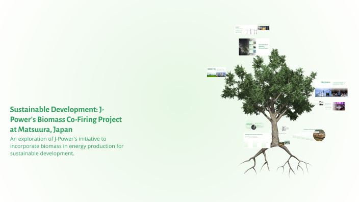 Sustainable Development: J-Power's Biomass Co-Firing Project at ...