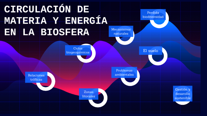 CIRCULACIÓN DE MATERIA Y ENERGÍA EN LA BIOSFERA by bianca bodnar on Prezi