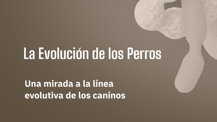 La Evolución de los Perros by vicente gonzales on Prezi