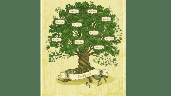 Achternamen by lieve derkx on Prezi