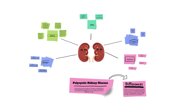 Polycystic Kidney Disease Concept Map by Joshua Bessler on Prezi