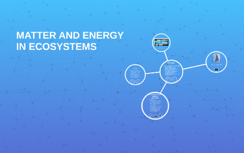 MATTER AND ENERGY IN ECOSYSTEMS by Daniel Dionysius on Prezi