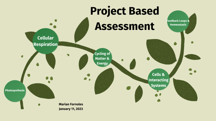Project Based Assessment by Marian Fornoles on Prezi