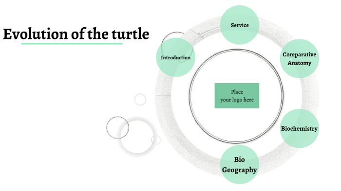 Evolution of the turtle by Tanika Hill on Prezi